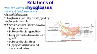 Chapter 14 Submandibular Region New.pptx