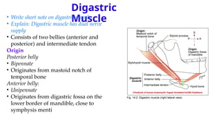 Chapter 14 Submandibular Region New.pptx