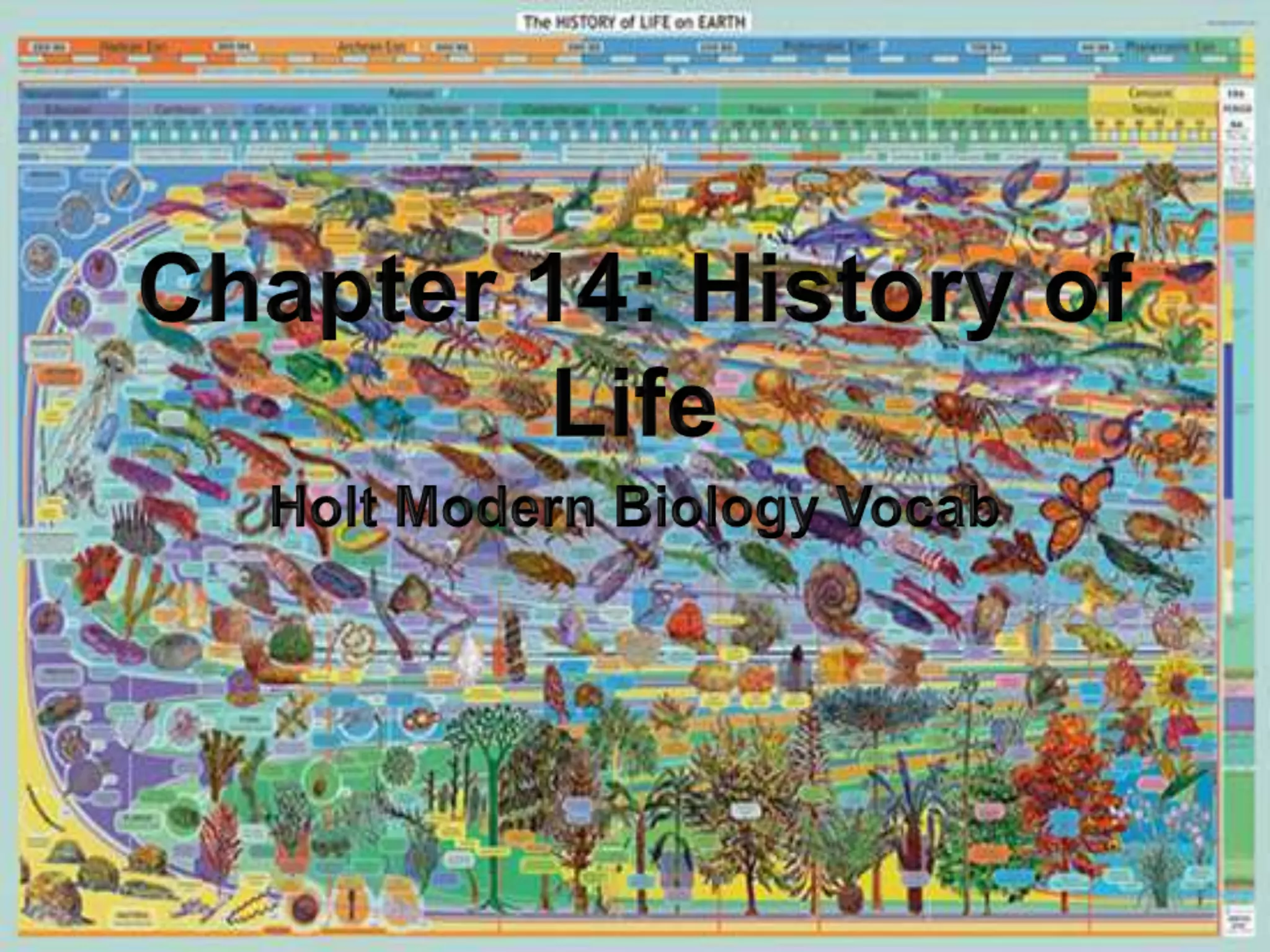 Holt Modern Biology Chapter 14 Vocabulary--History of Life | PPTX