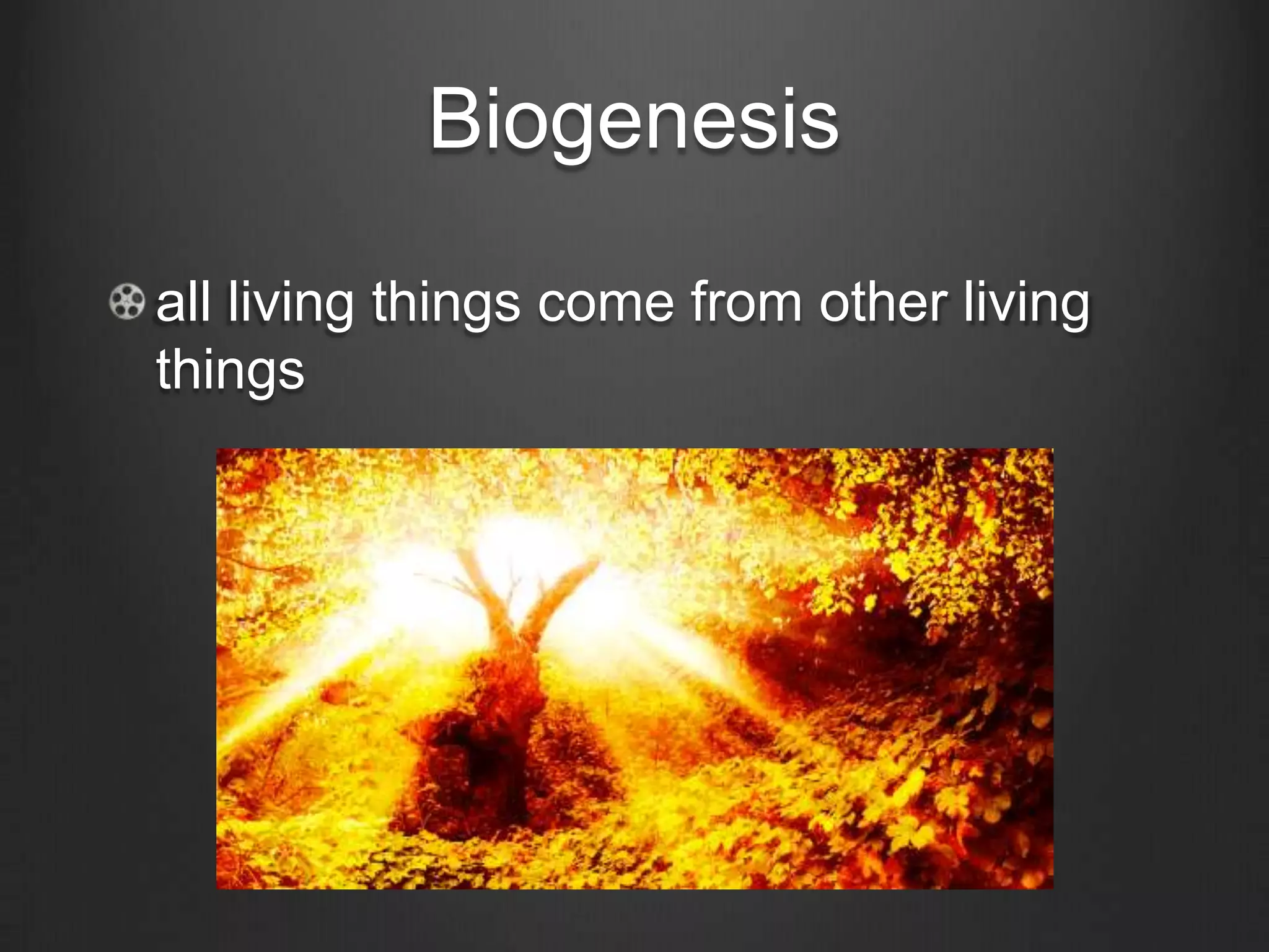 Holt Modern Biology Chapter 14 Vocabulary--History of Life | PPTX