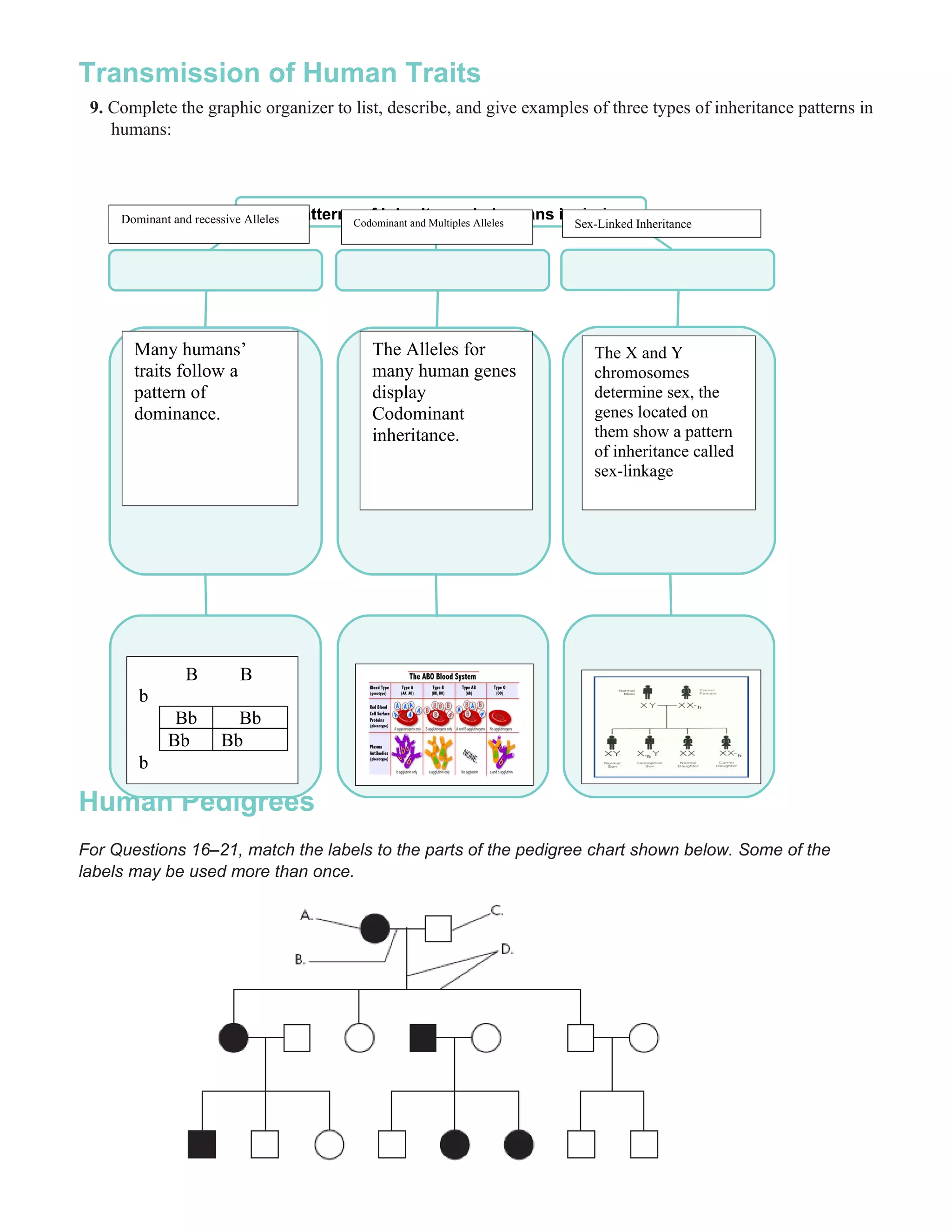 Chapter 14 worksheets | DOC
