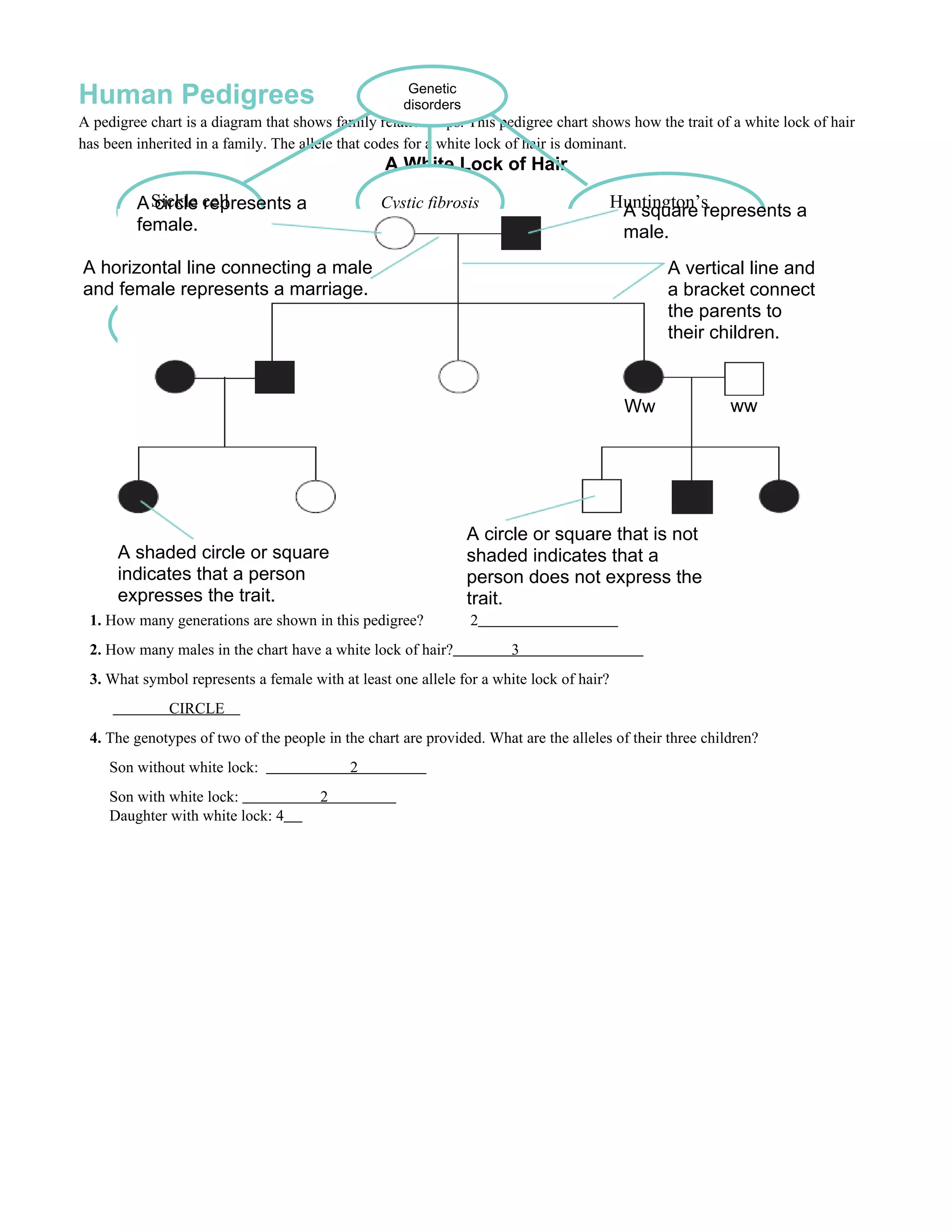 Chapter 14 worksheets | DOC