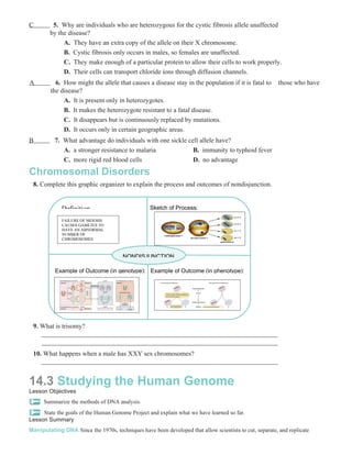 Chapter 14 worksheets | DOC
