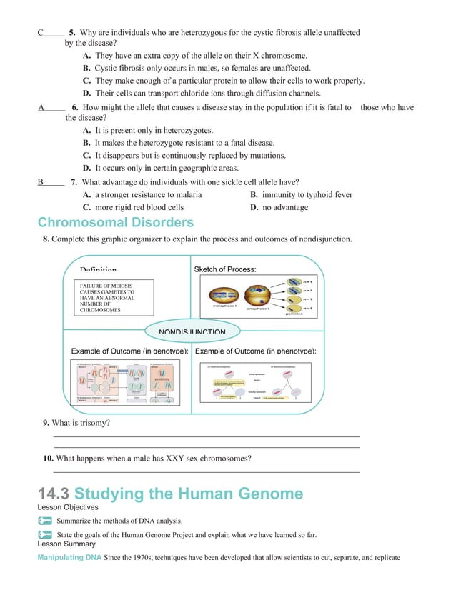 Chapter 14 worksheets | PDF