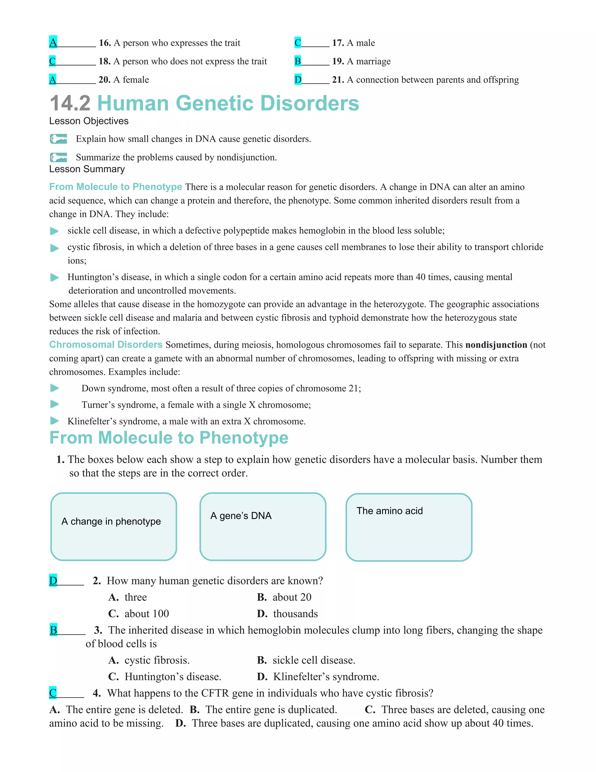 Chapter14worksheets | DOC