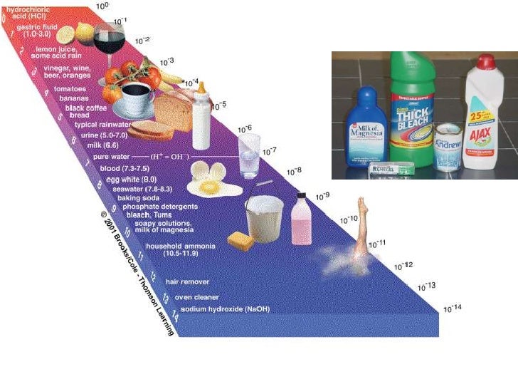 Chapter 15.1 : Properties of Acids and Bases