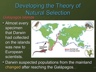 Chapter 15.1 Darwin's Theory of Natural Selection | PPT