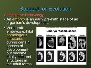 Chapter 15.2 evidence of evolution | PPT