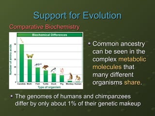 Chapter 15.2 evidence of evolution | PPT