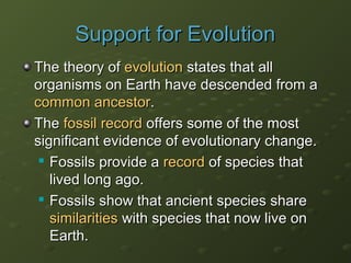 Chapter 15.2 evidence of evolution | PPT