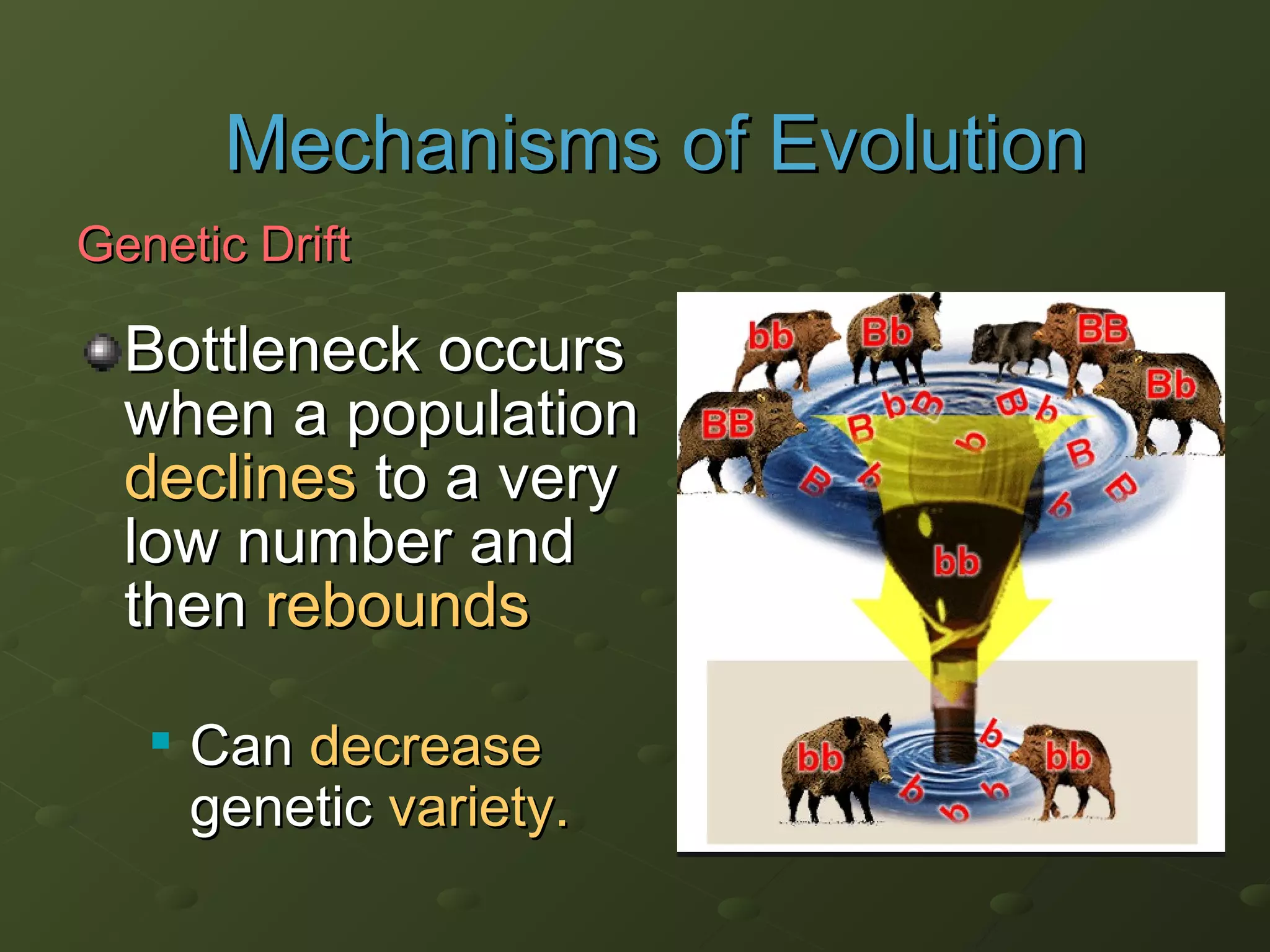 Chapter 15.3 shaping evolutionary theory | PPT