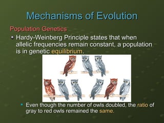 Chapter 15.3 shaping evolutionary theory | PPT