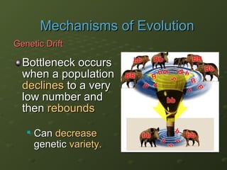Chapter 15.3 shaping evolutionary theory | PPT