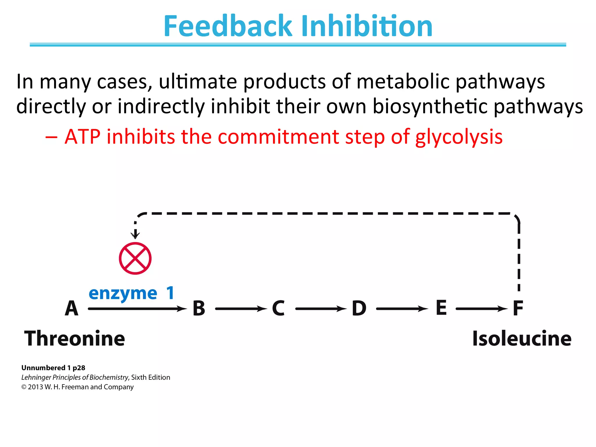 Chapter 15 - principle of metabolic regulation - Biochemistry | PDF
