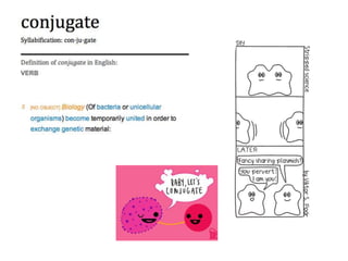 chapter_15.ppt | Genetics | Science