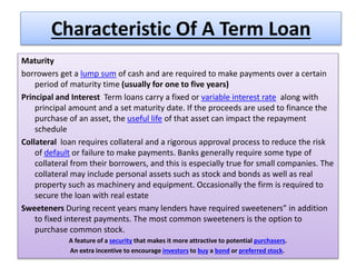 CHAPTER 15.pptx | Business Loans | Business Banking & Finance