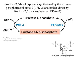 Biochemistry Chapter 15 Principle of metabolic regulation.ppt