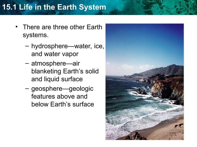 life in the earth Chapter__15.1_Power_Point.ppt