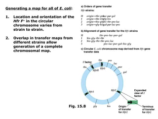 Genetics lecture for MBBS students 2 year.ppt