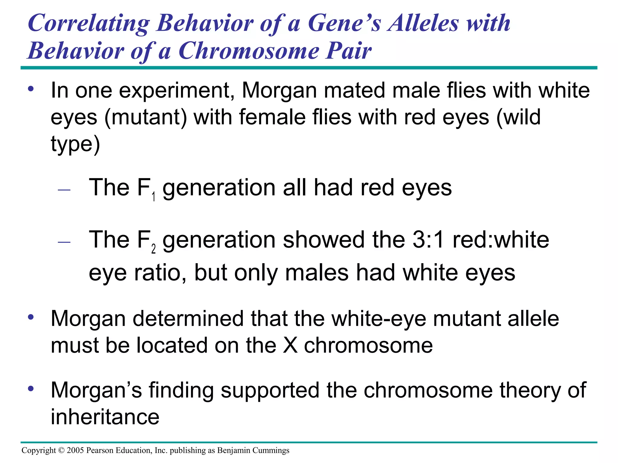 Chapter 15: Chromosomal Basis of Inheritance | PPT