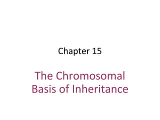 Chapter 15: Chromosomal Basis of Inheritance | PPT