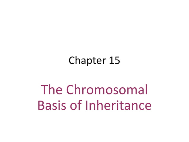 Chapter 15: Chromosomal Basis of Inheritance | PPT