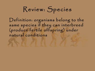 Chapter15 evolution(darwin) | PPT