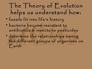Chapter15 evolution(darwin) | PPT