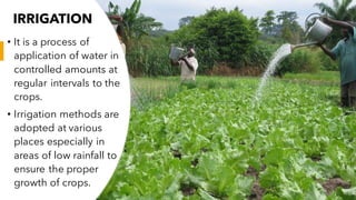 Chapter - 15, Improvement in Food Resources, Science, Class 9 | PDF