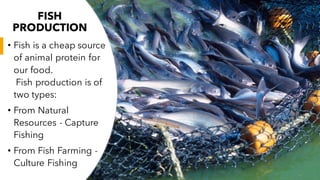 Chapter - 15, Improvement in Food Resources, Science, Class 9 | PDF