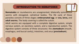 Chapter 15-NEMATODES(SHAYNE SUNICO).pptx