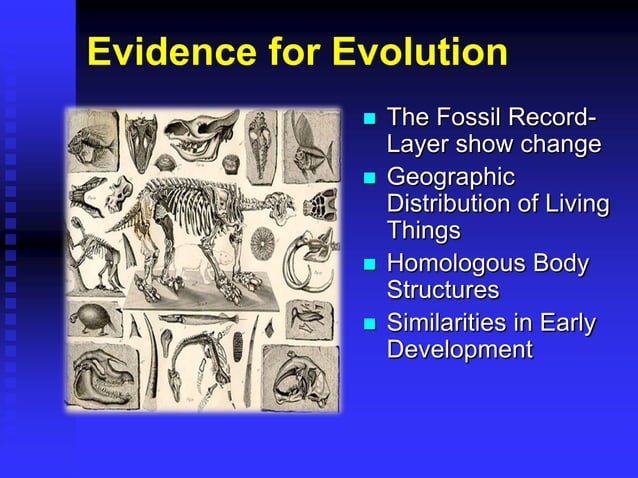 Chapter 15-Notes evolution of organisms ppt | PPT