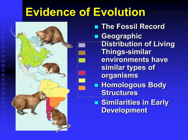 Chapter 15-Notes evolution of organisms ppt | PPT