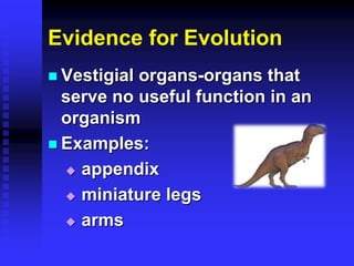 Chapter 15-Notes evolution of organisms ppt | PDF