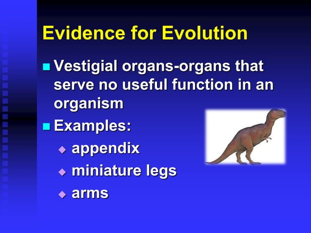 Chapter 15-Notes evolution of organisms ppt | PPT