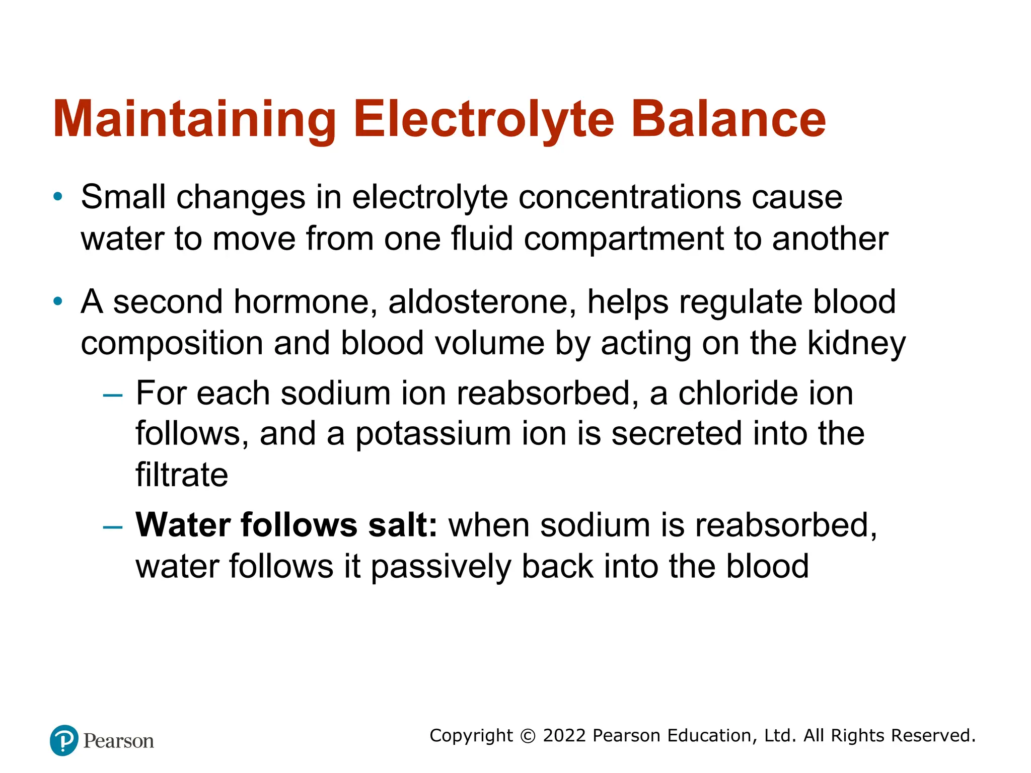 URINARY SYSTEM PPT IN ANATOMY AND PHYSIOLOGY | PDF