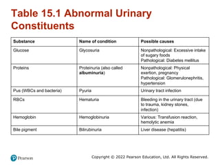 URINARY SYSTEM PPT IN ANATOMY AND PHYSIOLOGY | PDF