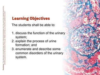 URINARY SYSTEM PPT IN ANATOMY AND PHYSIOLOGY | PDF