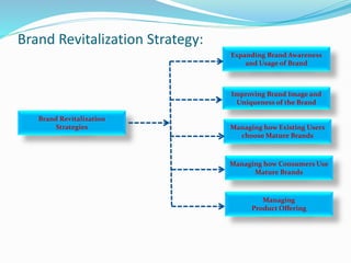 Chapter_15 (1).pptx,Brand Revitalization | PPT