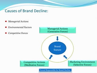 Chapter_15 (1).pptx,Brand Revitalization | PPT