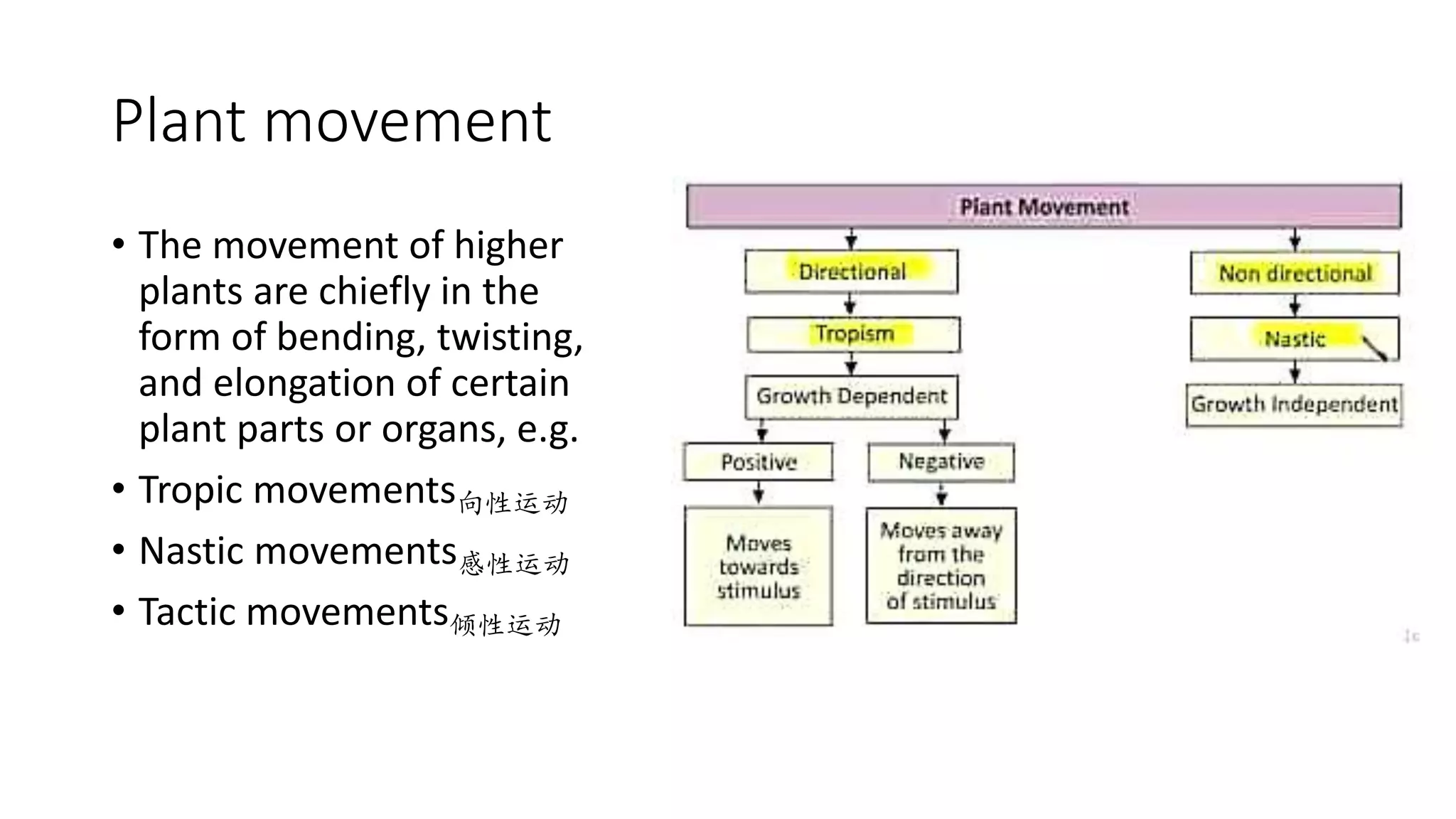 独中高中生物 Chapter 15 Part 2 Movement of Plants | PPTX