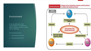 Chapter 15 (2nd year) Biology | PPTX