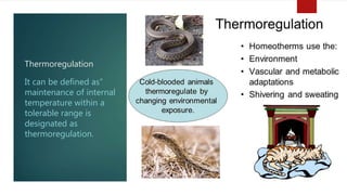 Chapter 15 (2nd year) Biology | PPTX