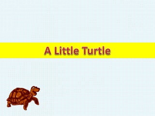 Chapter 15 – A Little Turtle.ppt hhauhhhgg | PPT