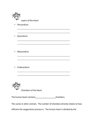 Chapter 15 cardiovascular system heart notes | DOC