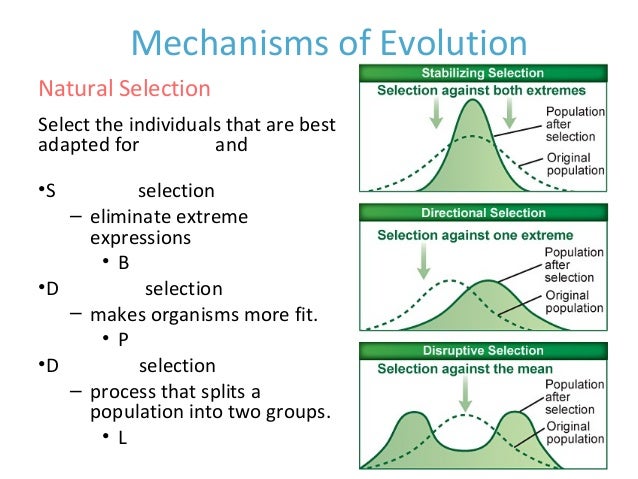 Chapter 15 Evolution - All Sections 15.1 - 15.3