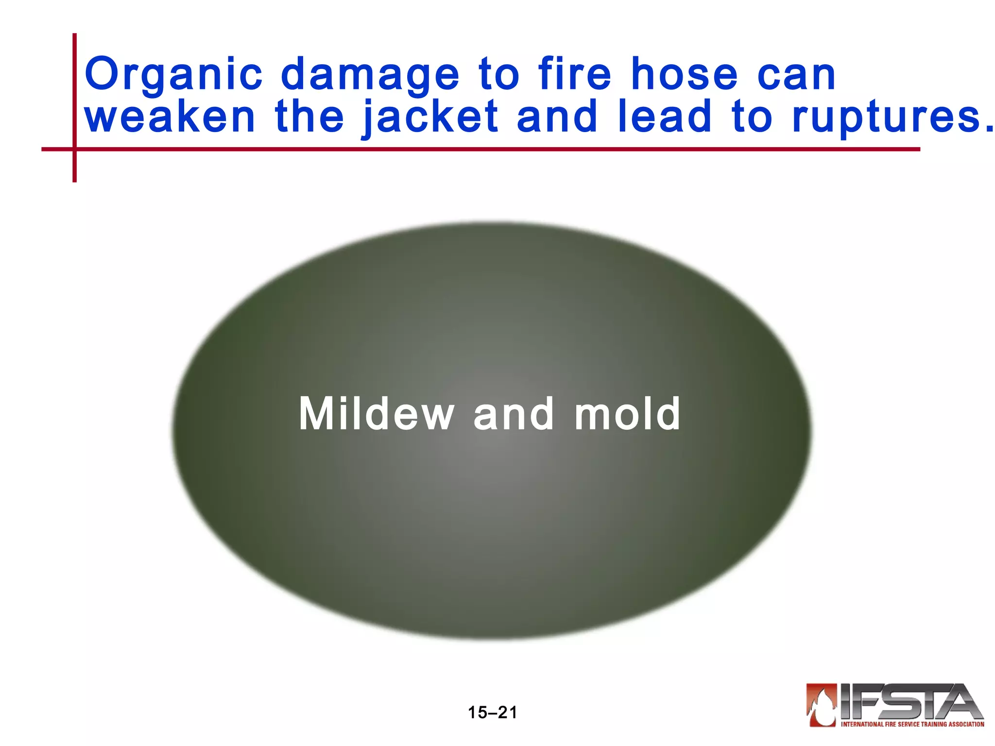 Chapter 15 ffi | PPT