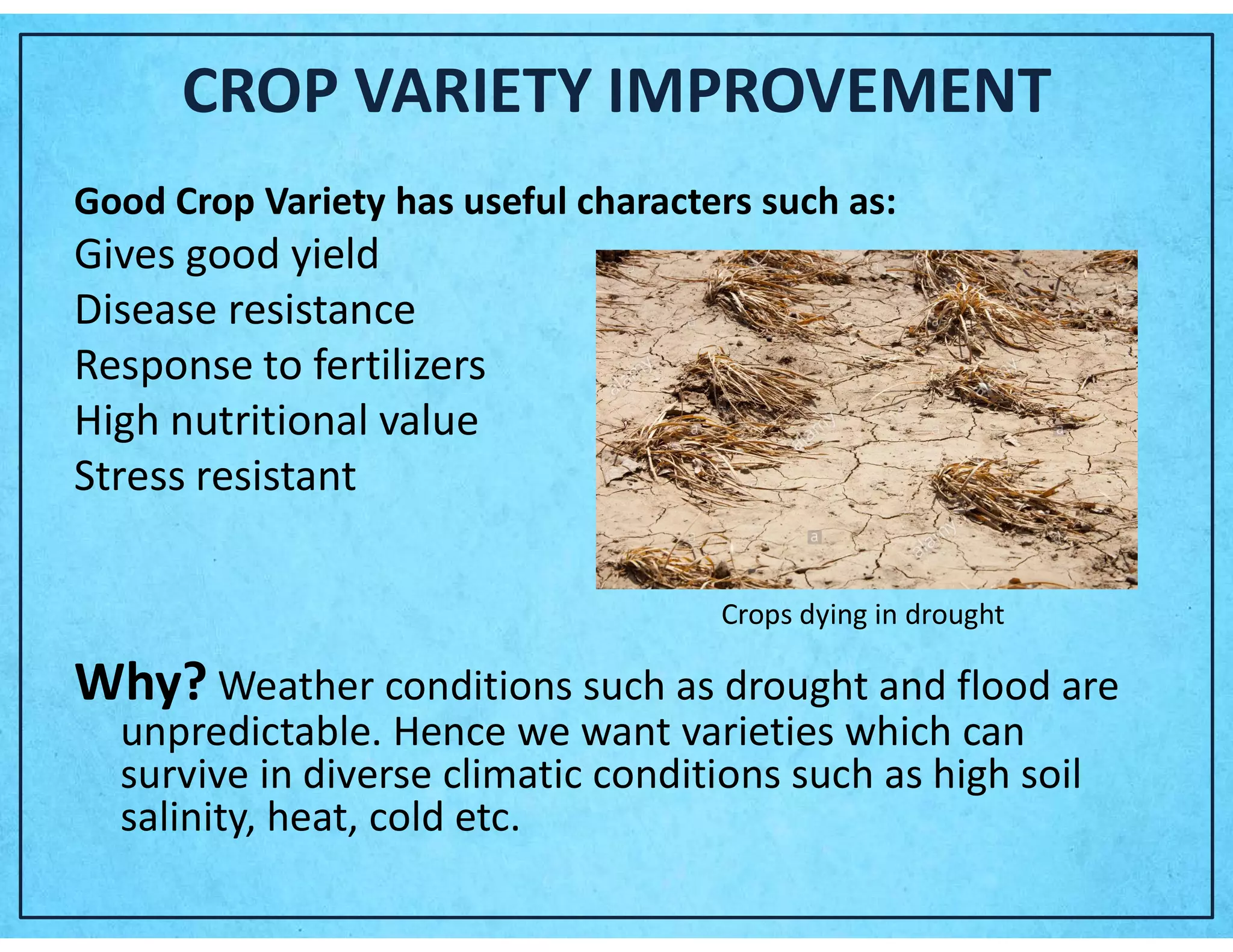 CLASS 9 Chapter 15 improvement in food resources | PDF