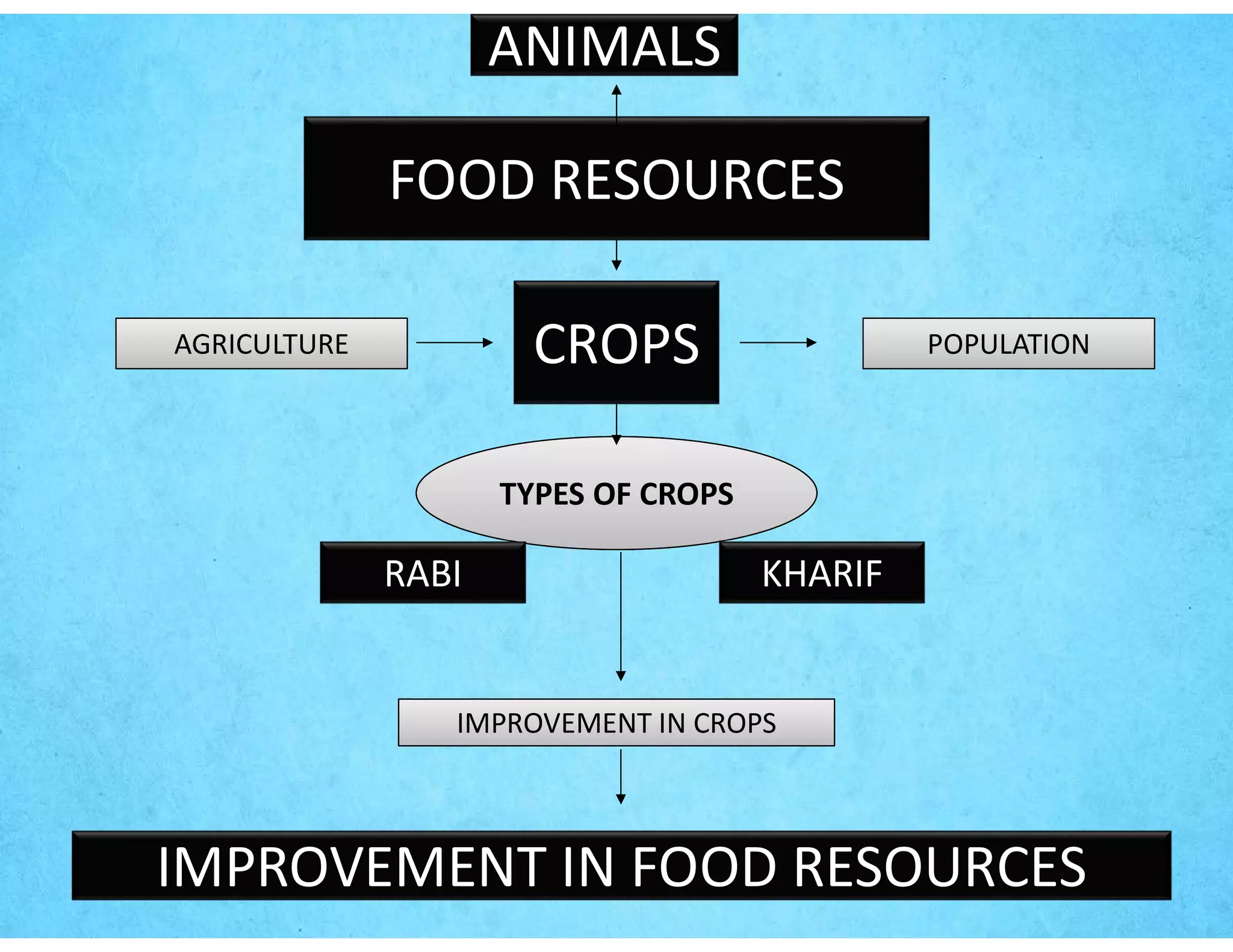 CLASS 9 Chapter 15 improvement in food resources | PDF
