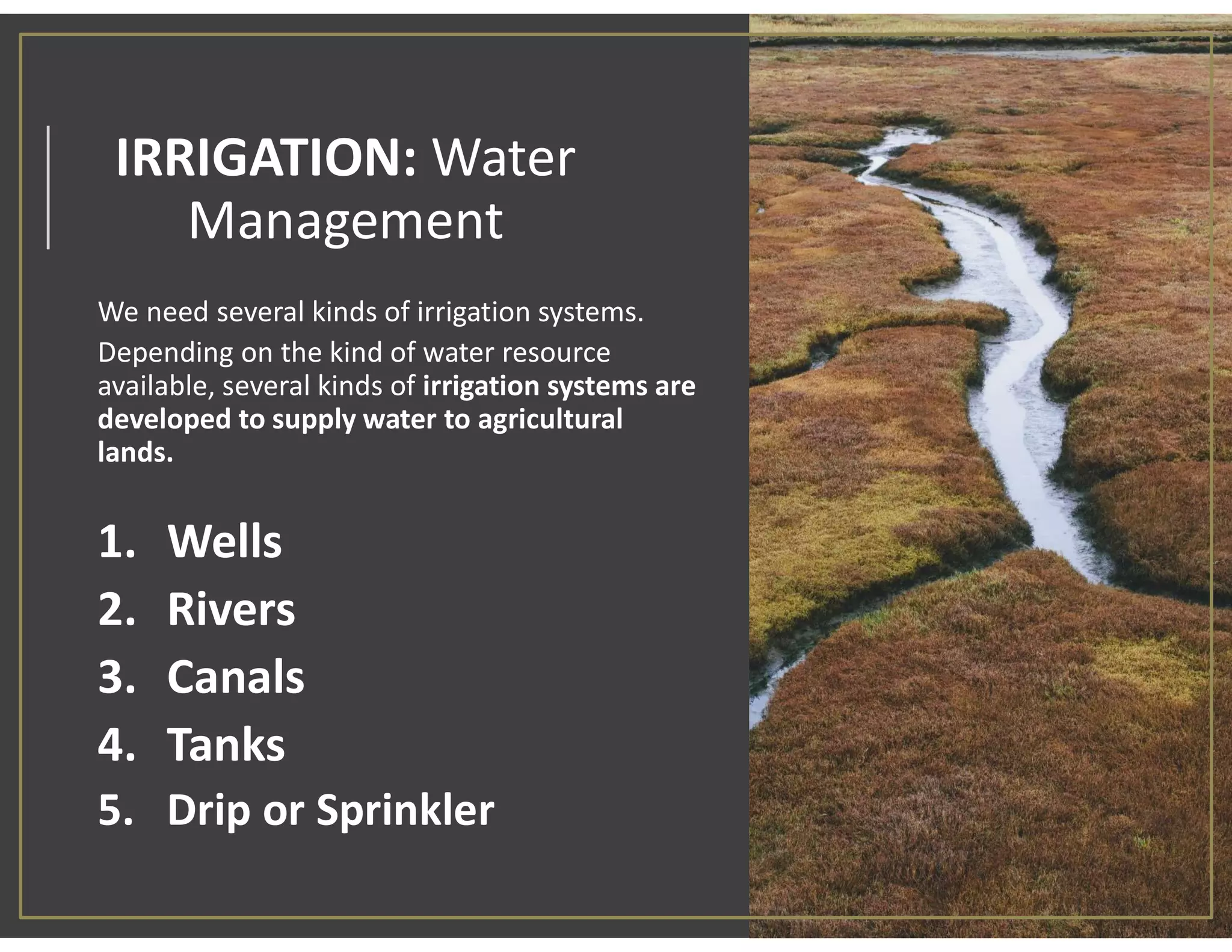 CLASS 9 Chapter 15 improvement in food resources | PDF